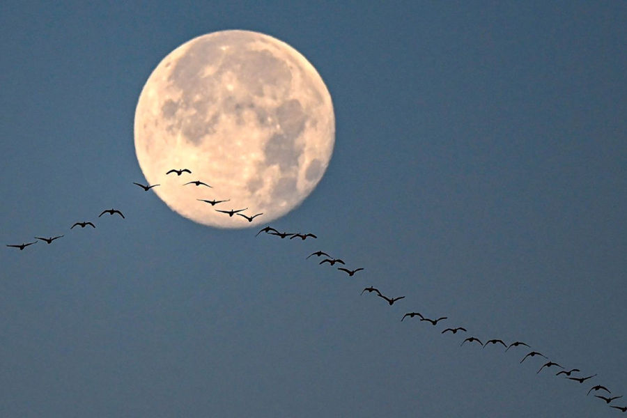The Last Full Moon of the Year – The Cold Moon - Chivitr Wellness Retreat